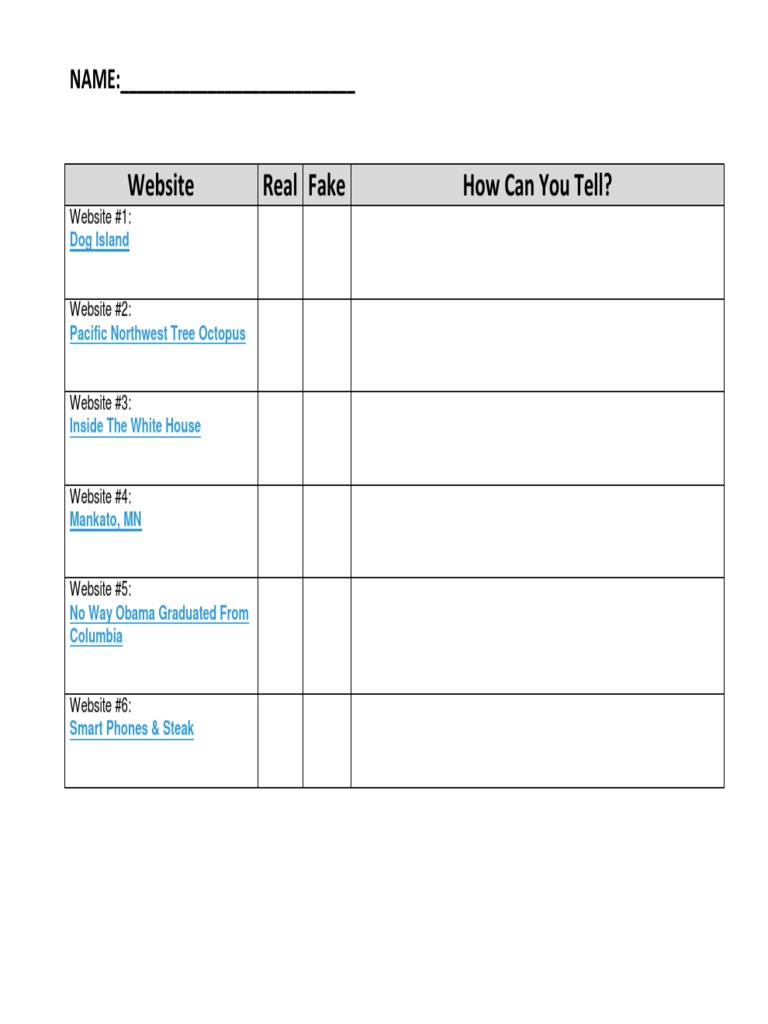 Identifying Fake Websites | PDF