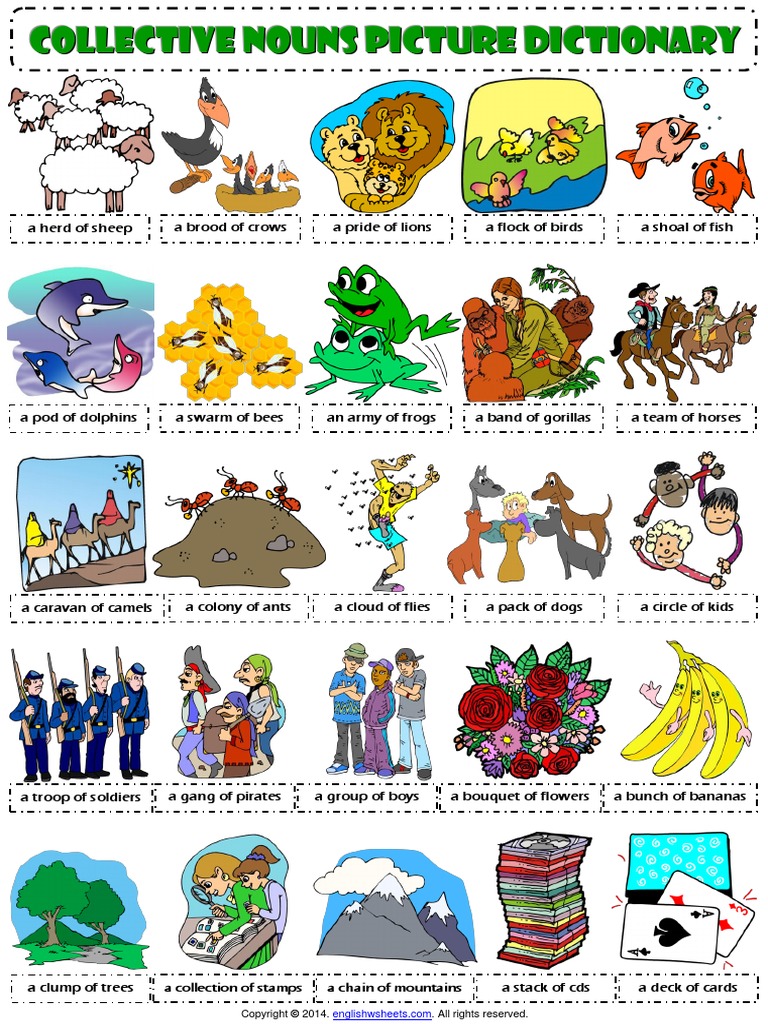 Collective Nouns Esl Picture Dictionary Worksheet PDF | PDF
