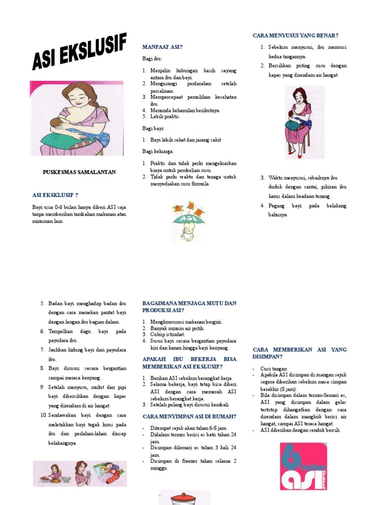 Leaflet Asi | PDF