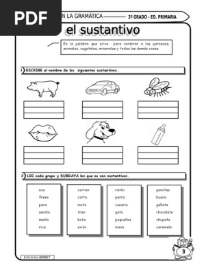 Hoja De Trabajo De Clasificación De Sustantivos
