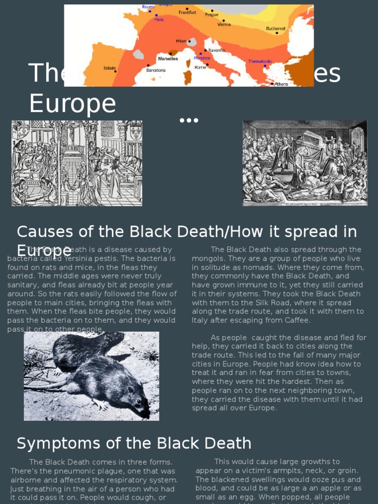Causes and Impact of the Black Death | PDF | Black Death | Death
