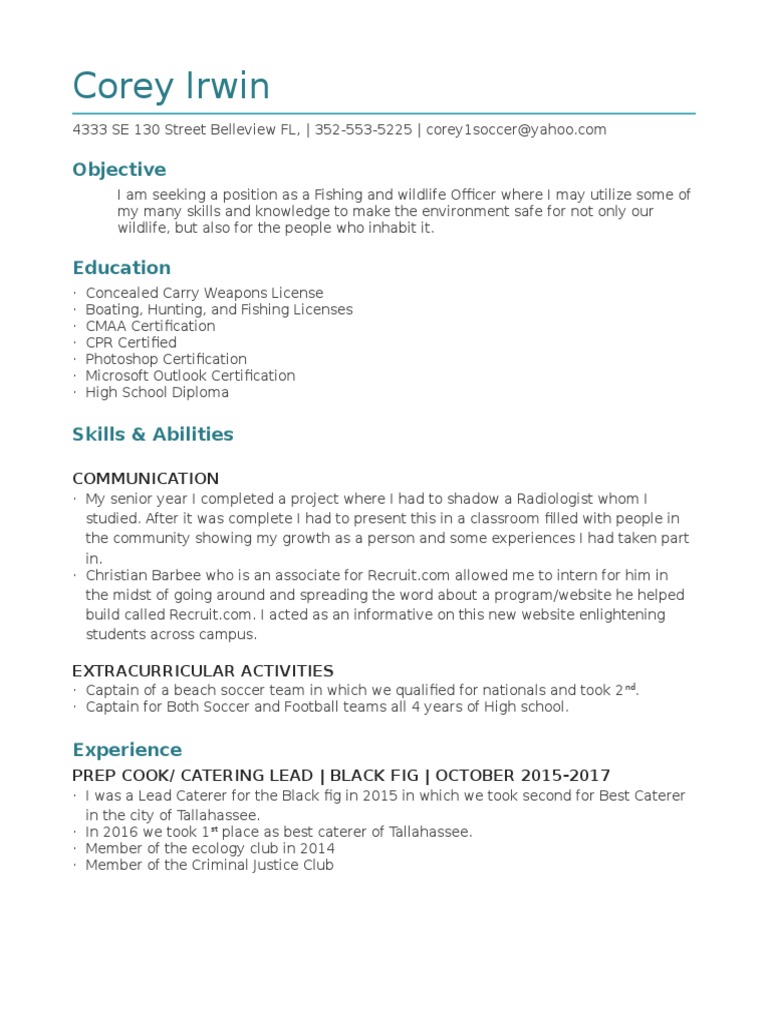 Resume Rough Draft | PDF