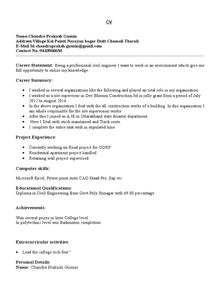 Career Statement: Career Summary | PDF | Science And Technology | Science