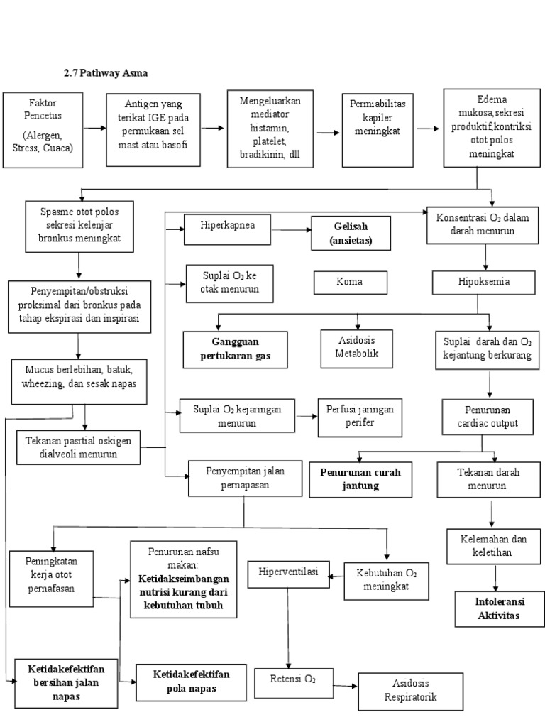 Pathway Asma Fix | PDF