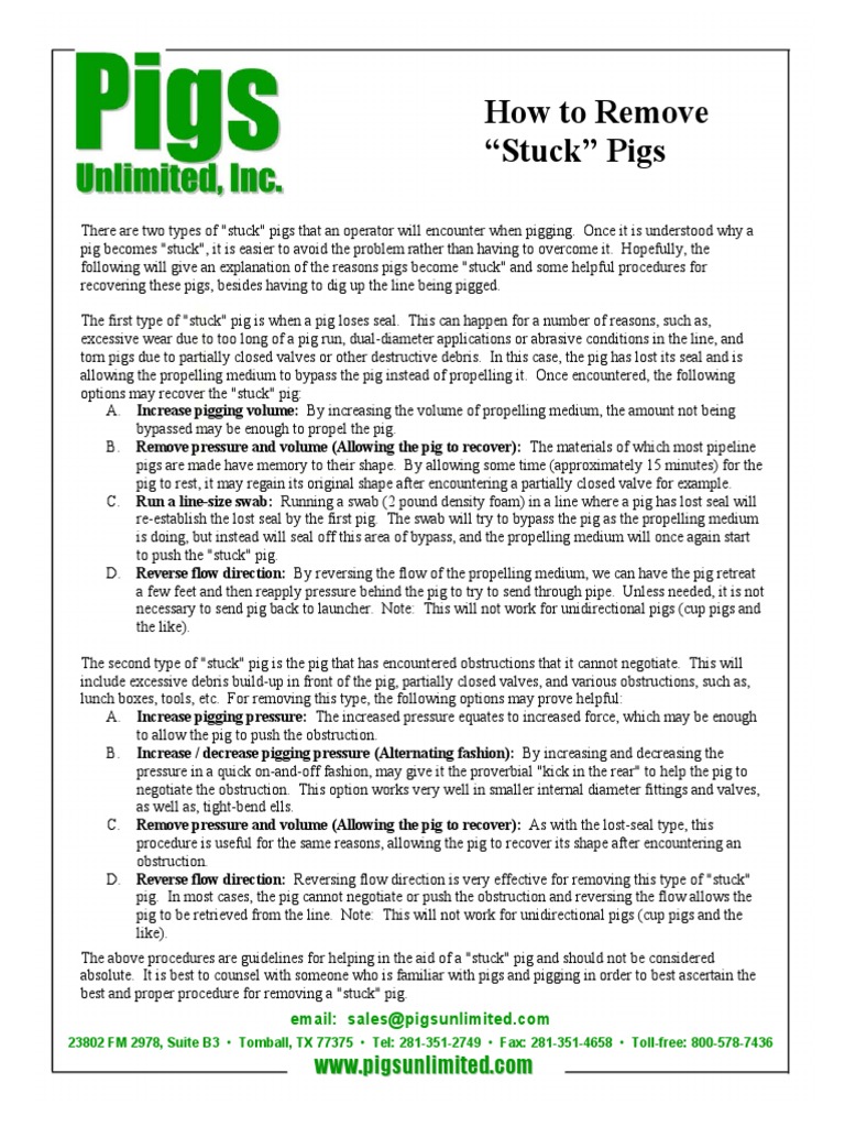 Stuck Pig | PDF | Applied And Interdisciplinary Physics | Gases