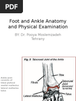 Posterior Tibial Tendon Insufficiency (PTTI) - Foot & Ankle ...