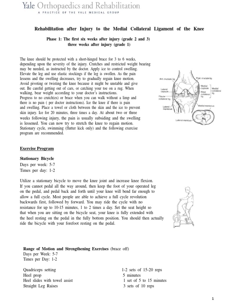 MCL Knee Injury Rehab Guide | PDF | Knee | Strength Training