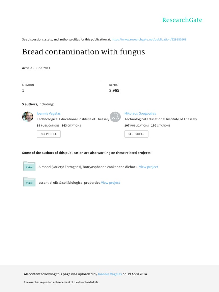Bread Contamination With Fungus PDF | PDF | Mold | Fungus