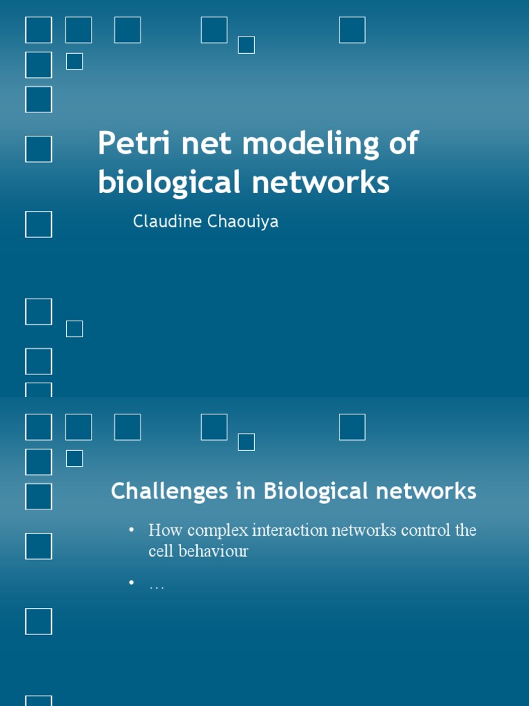 Petri Net Modeling of Biological Networks: Claudine Chaouiya | PDF | Biochemistry | Chemistry