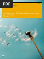 SAP B1 Schema Export and Import Guide | PDF | Conceptual Model | Databases