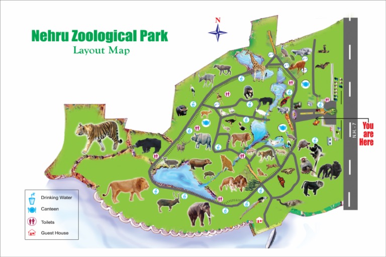 Zoo Map Directions | PDF