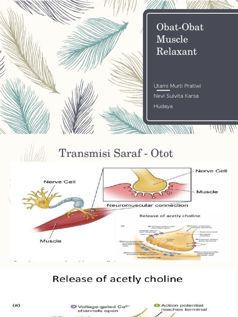 Obat-Obat Muscle Relaxant - Tugas | PDF | Sains & Matematika