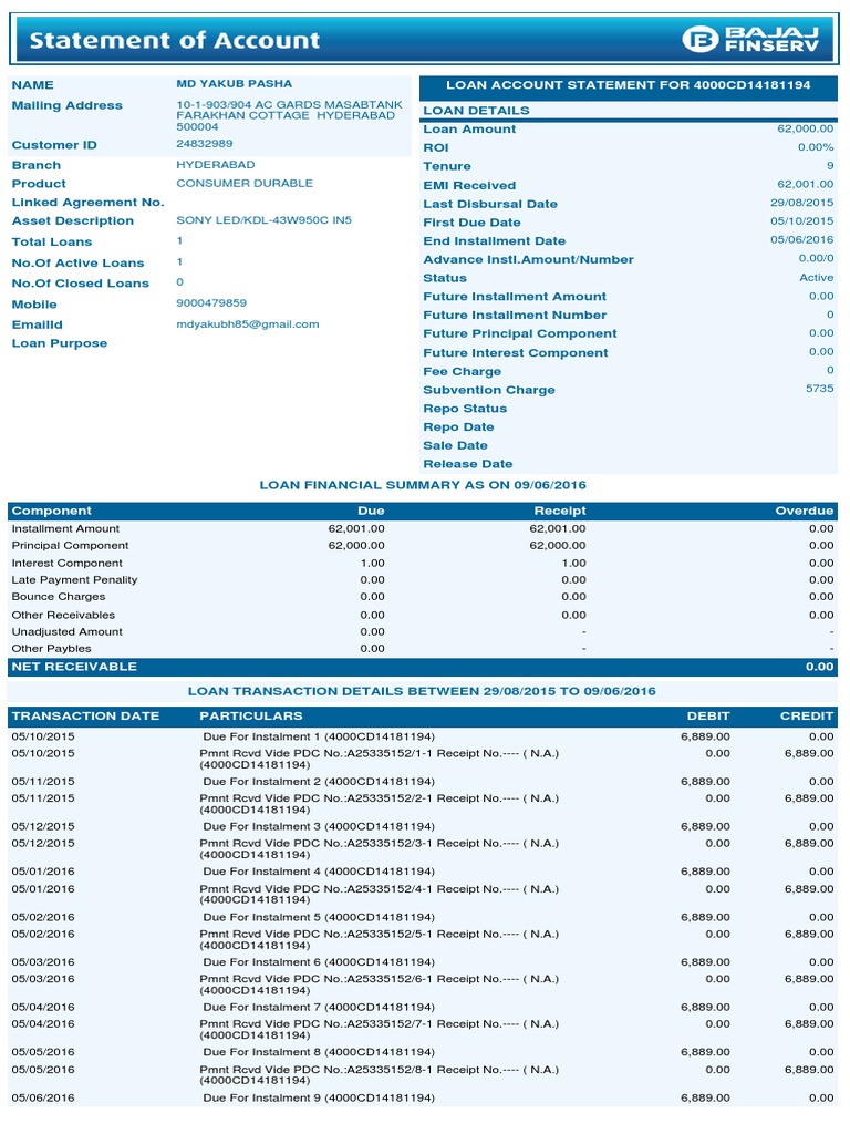 Statement of Account | PDF | Debits And Credits | Financial Transaction