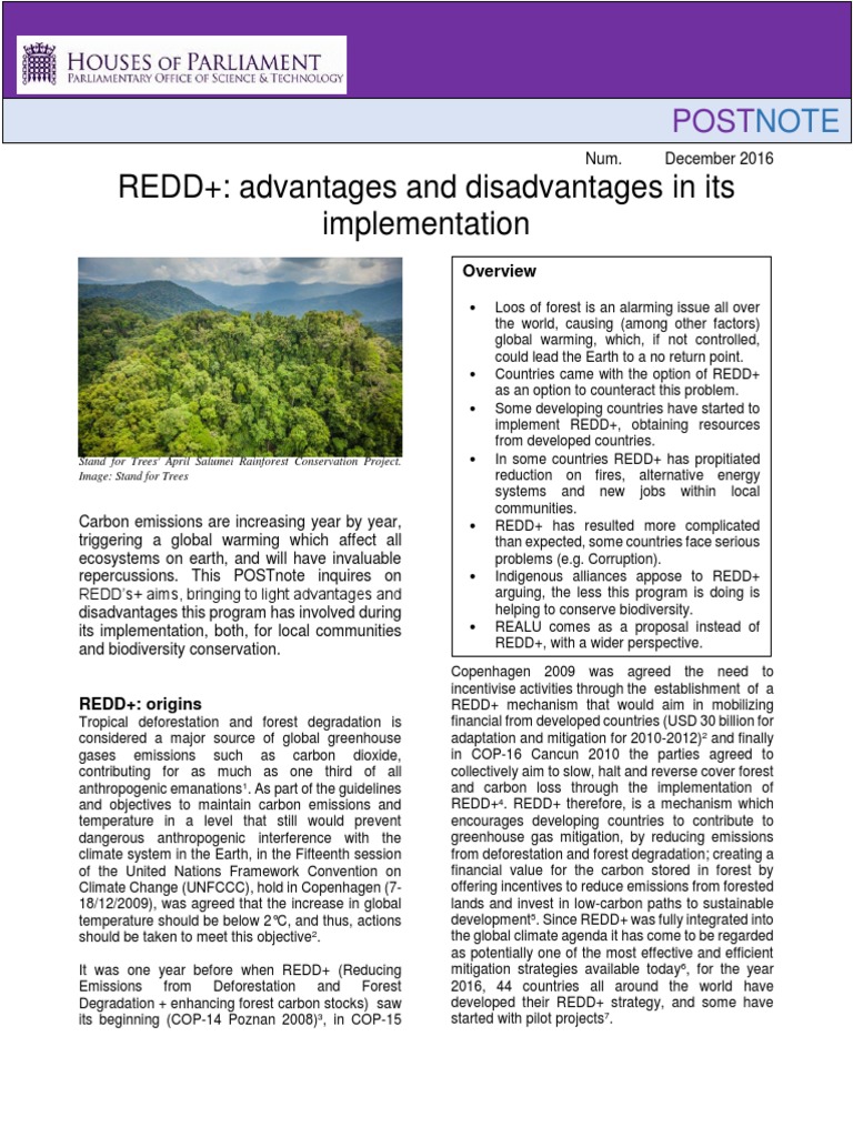 REED+ Advantages and Disadvantages in Its Implementation | PDF ...