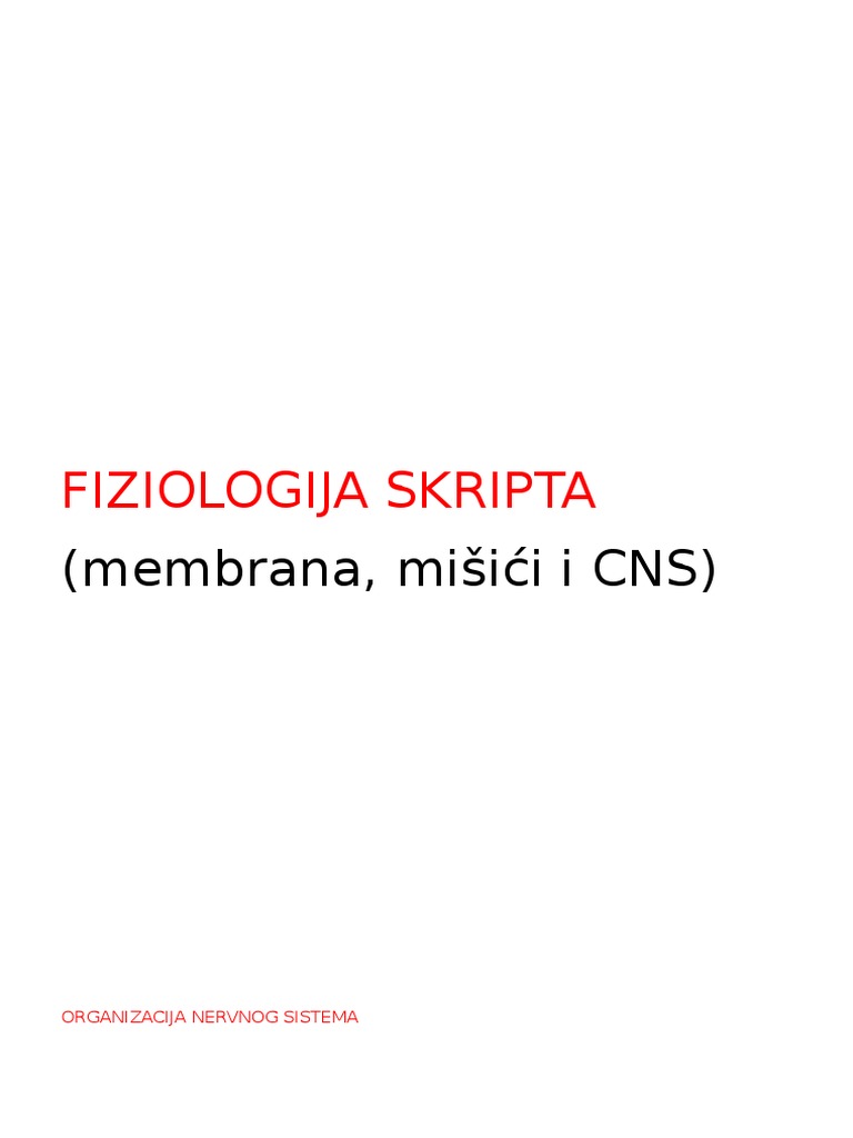Fiziologija Cns | PDF