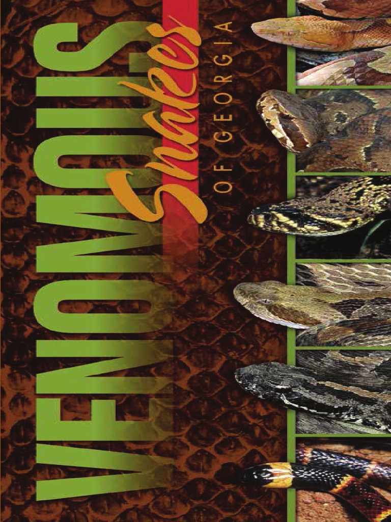 Venomous Snakes of Georgia | PDF | Rattlesnake | Snake