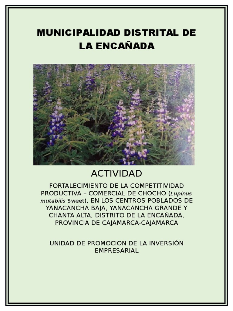 Cultivo de Chocho | PDF | Siembra | Agricultura