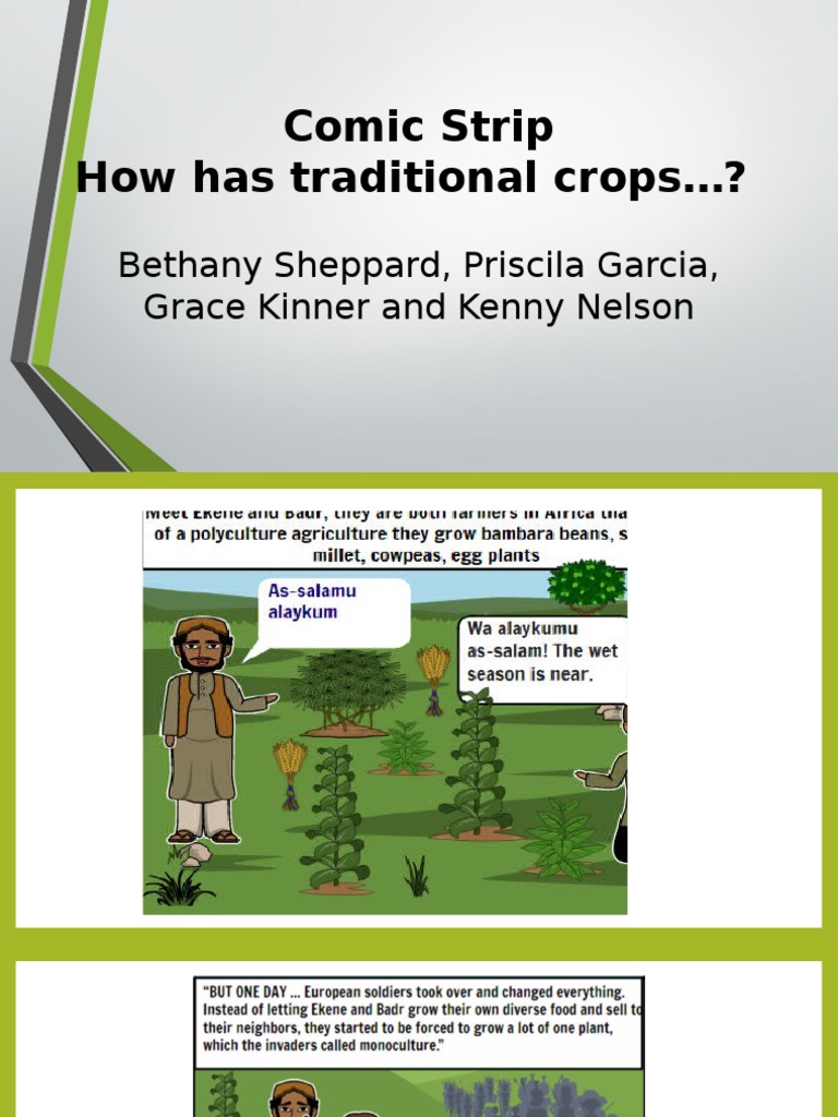 Comic Strip How Has Traditional Crops ?: Bethany Sheppard, Priscila ...