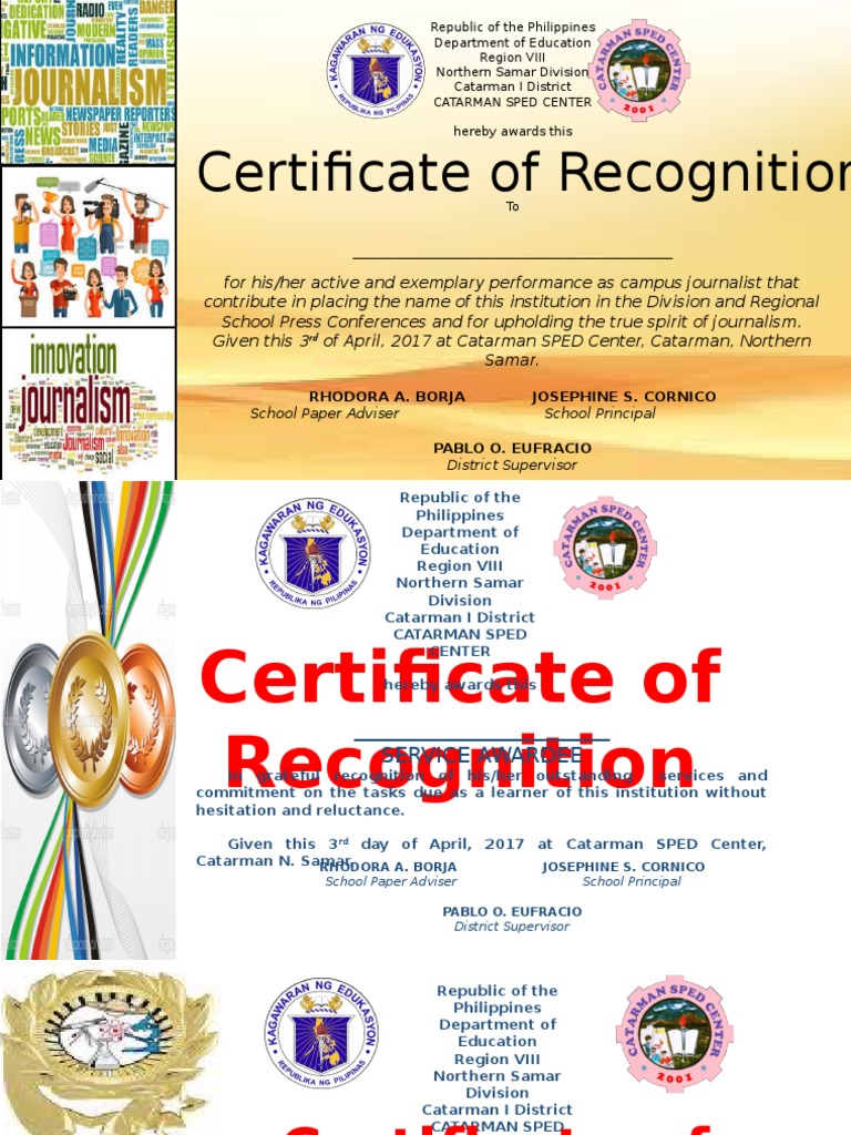 Journalism Cert 2017 | PDF