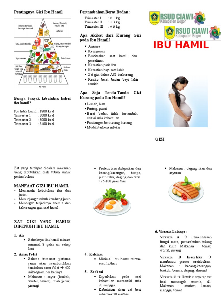 Daniel Leaflet Gizi Ibu Hamil Pdf