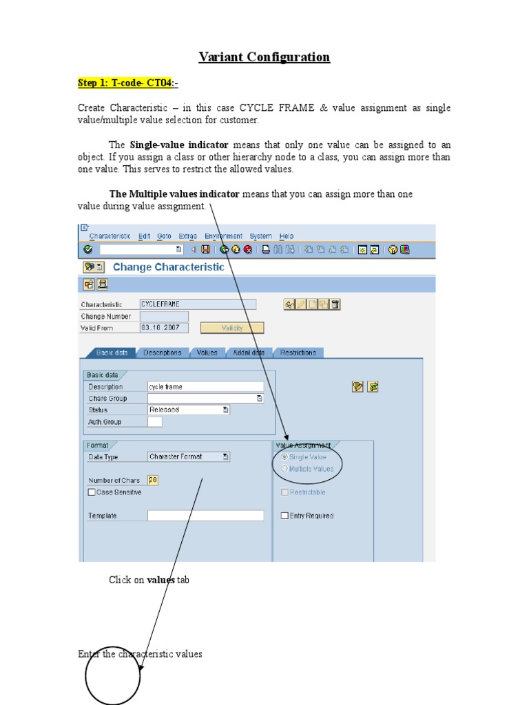 SAP Variant Configuration Guide | PDF | Computer Engineering | Areas Of Computer Science