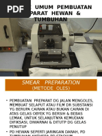 Proses Ingesti dan Digesti Makanan | PDF