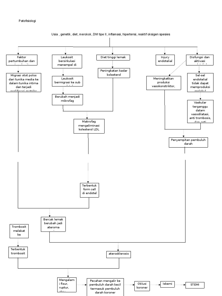 Patofisiologi Stemi | PDF