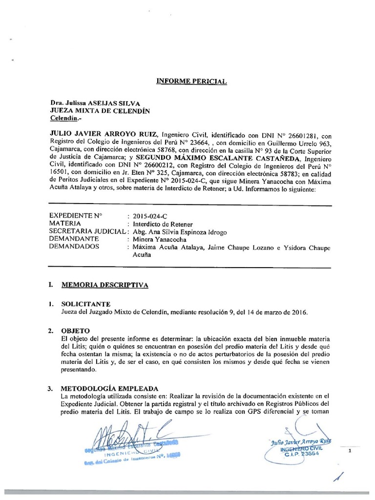 Informe Pericial | PDF