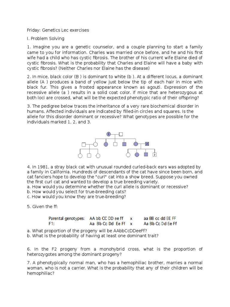 Genetics Problem Solving Exercises | PDF | Plant Hormone | Auxin
