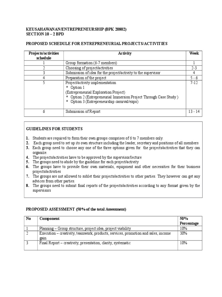 Entrepreneurial Project Guideline Student | PDF | Entrepreneurship ...