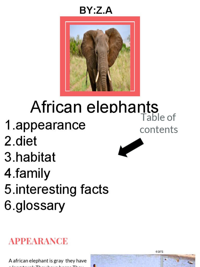 Elephant | PDF