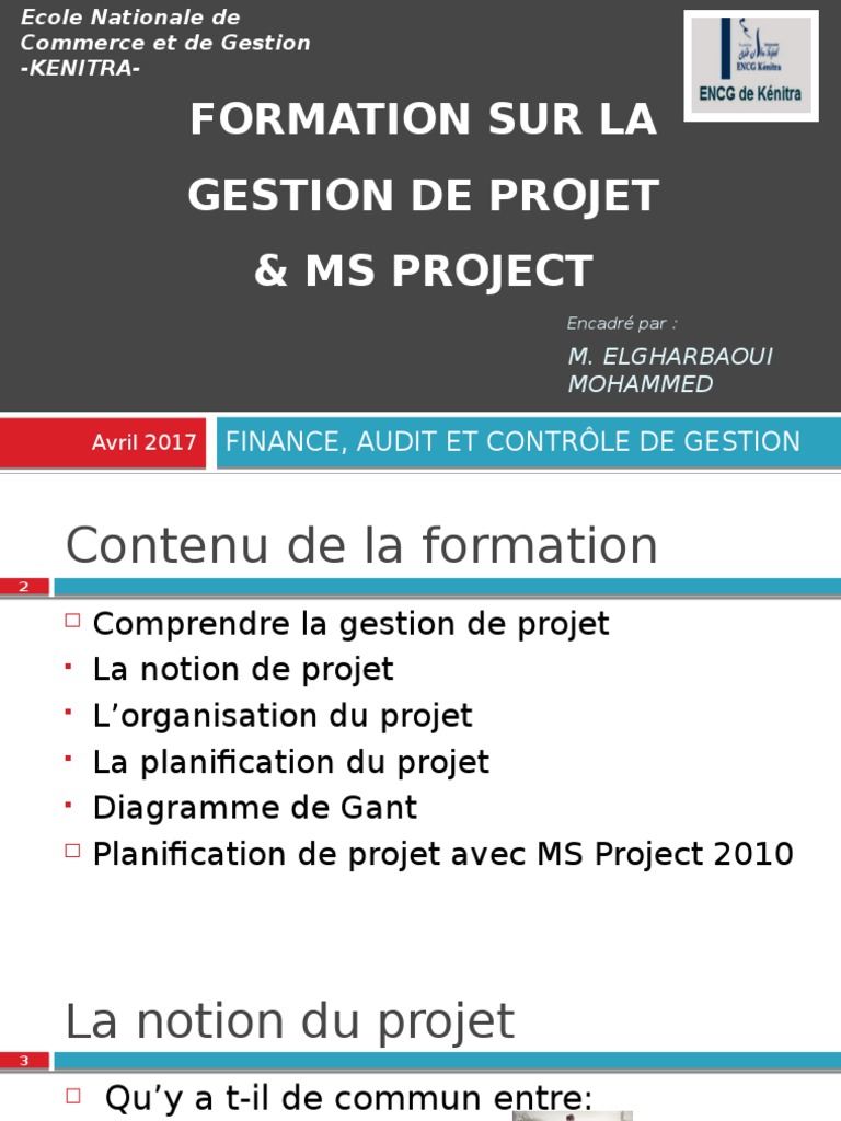 Formation Gestion Du Projet Et MS Project | PDF | Gestion de projet | Planification