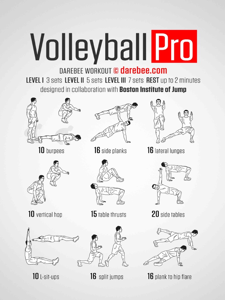 Volleyball Pro Workout PDF | PDF
