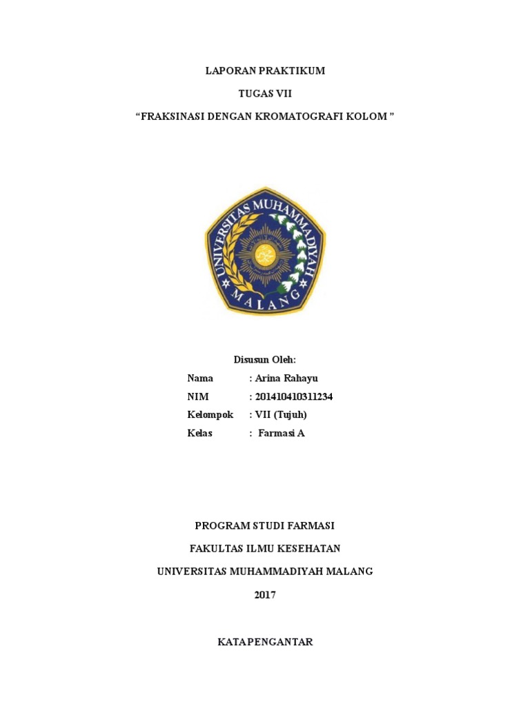 Laporan Fitokim Fraksinasi Dengan Kromatografi Kolom | PDF