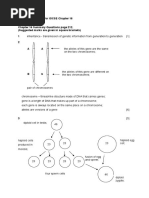 Pigeon Genetics: Answer Key | PDF | Dominance (Genetics) | Genotype