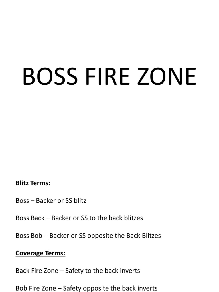 Check Blitz Package | PDF | Business