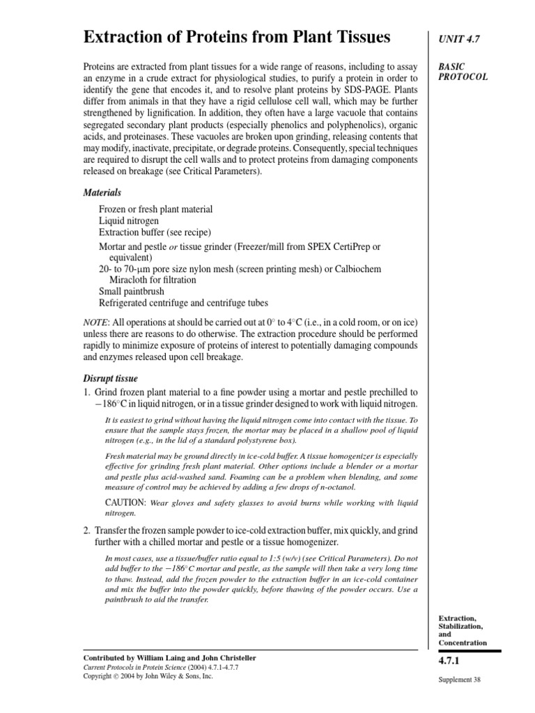 4.7extraction of Proteins From Plant Tissues | PDF | Polyphenol ...