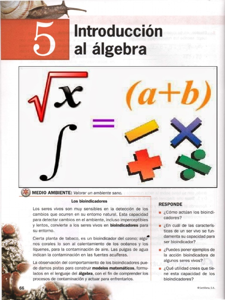 Introduccion Al Álgebra | PDF | Multiplicación | División (Matemáticas)