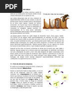Cómo hacer un cartapacio escolar | PDF | Papel | Pinturas