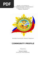 Barangay Profile Template | PDF