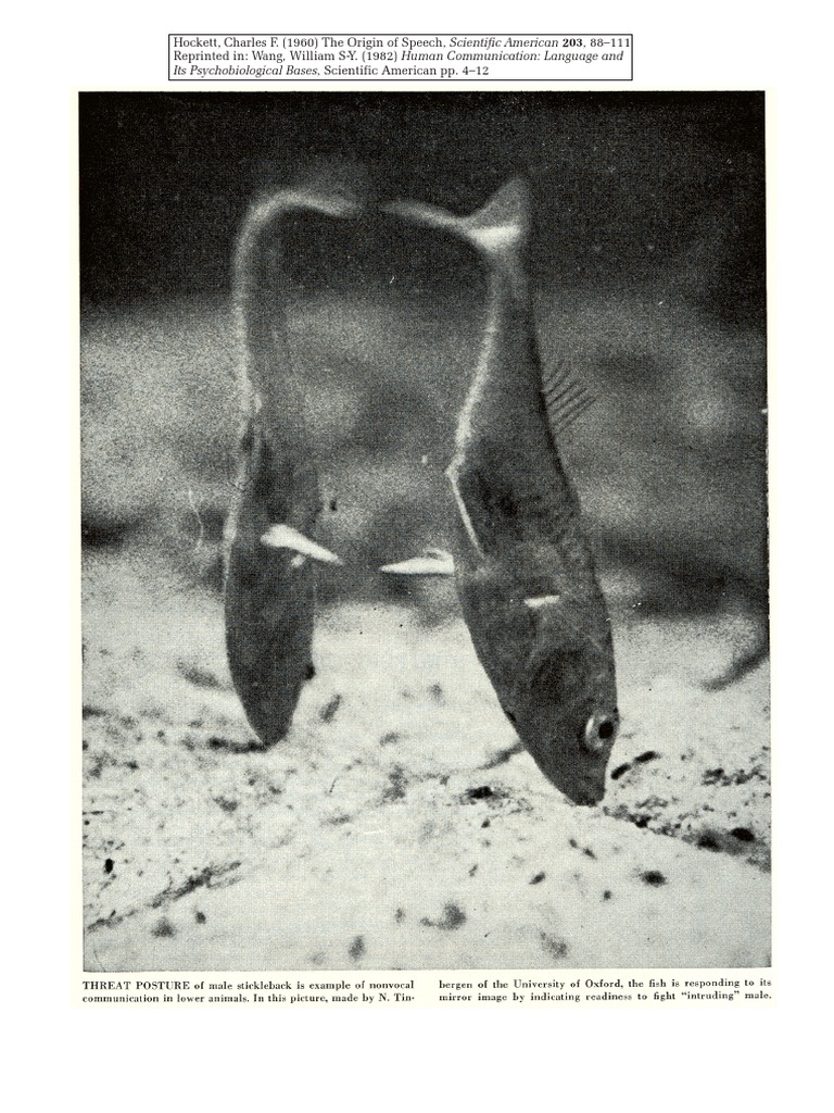 Hockett, Charles F. the Origin of Speech, Scientific American 203. 1960.