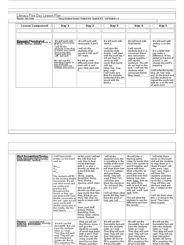 Literacy Five-Day Lesson Plan | PDF | Reading Comprehension | Linguistics