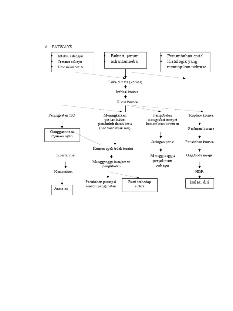 Pathway Ulkus Kornea | PDF
