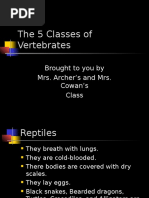 Example of A Detailed Lesson Plan | PDF | Amphibian | Reptile