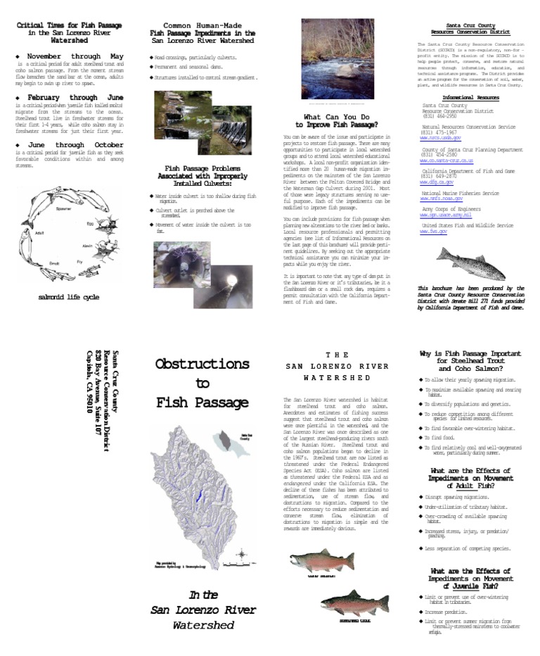 Obstructions To Fish Passage | PDF | Rainbow Trout | Salmon