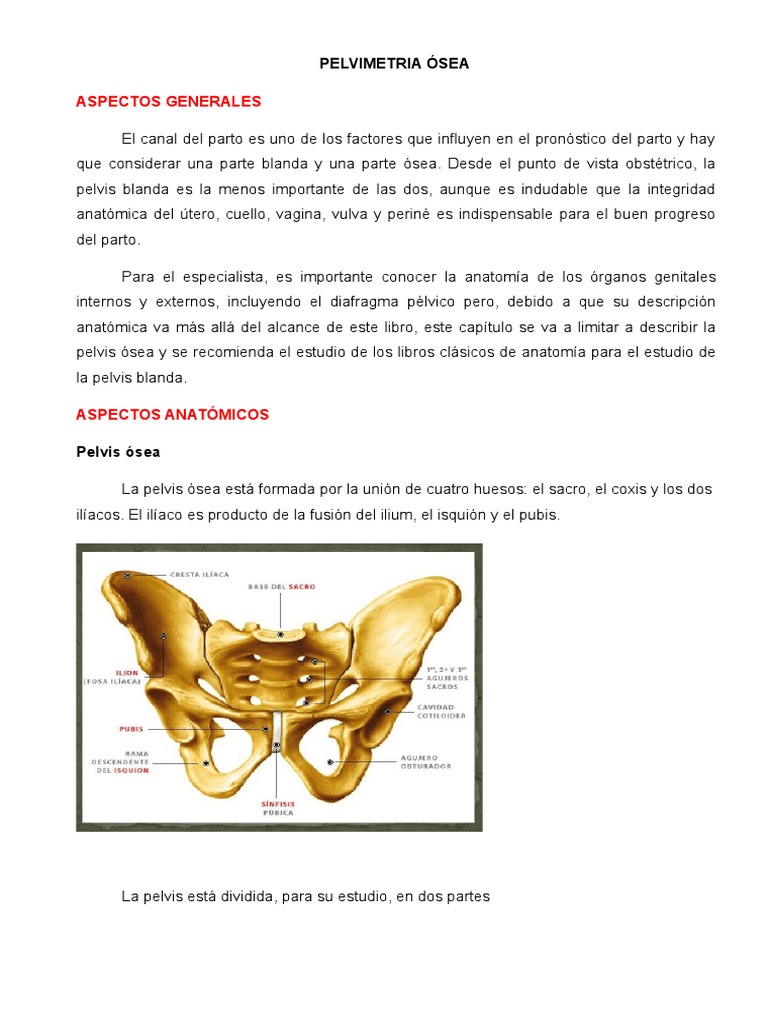 PELVIMETRIA ÓSEA | Pelvis | Parto