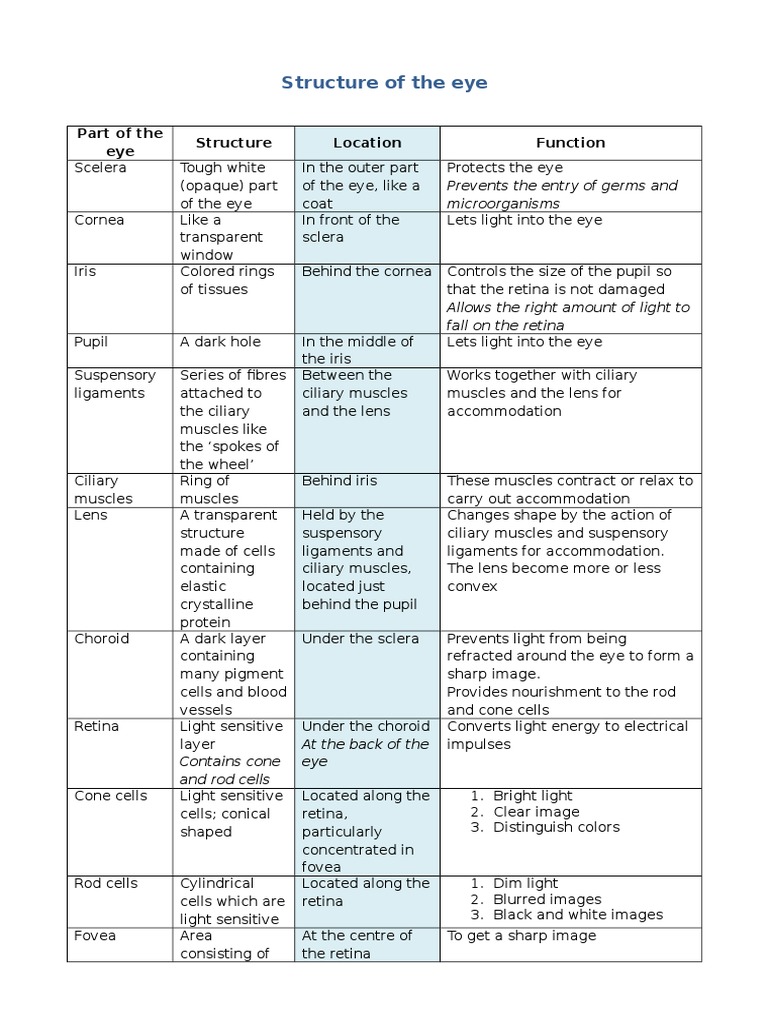 IGCSE Human Biology Chapter 5 Notes | PDF | Eye | Central Nervous System