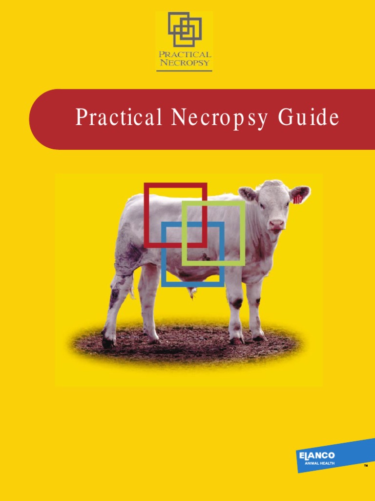 Practical Necropsy Guide | Pneumonia | Central Nervous System