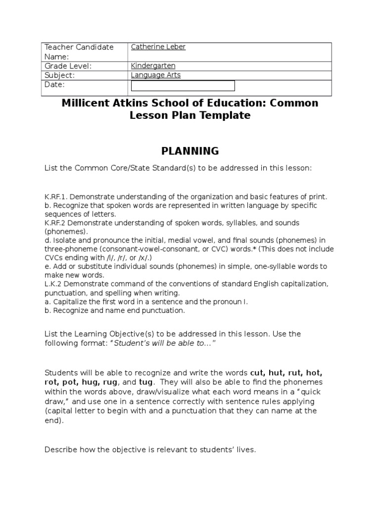 Millicent Atkins School of Education: Common Lesson Plan Template | PDF ...