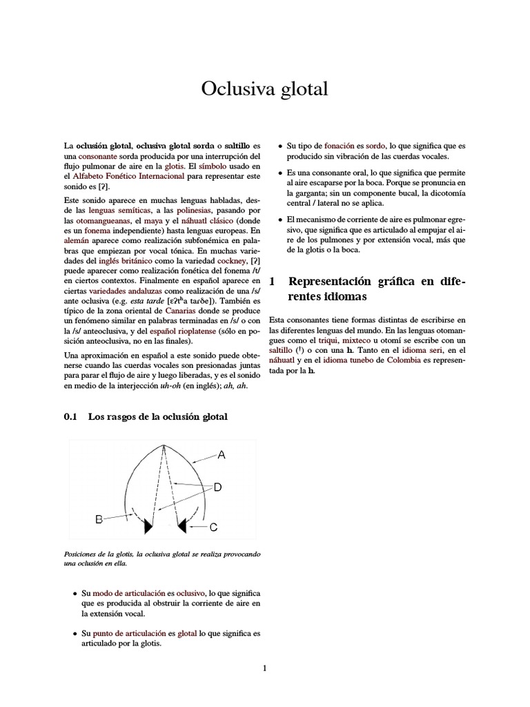 Oclusiva Glotal | PDF | Fonología | Fonética
